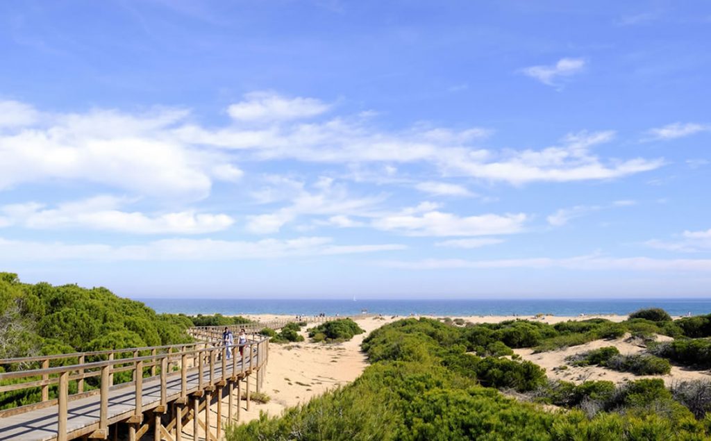 Playa del Carabassí en Elche - AlicanteOut